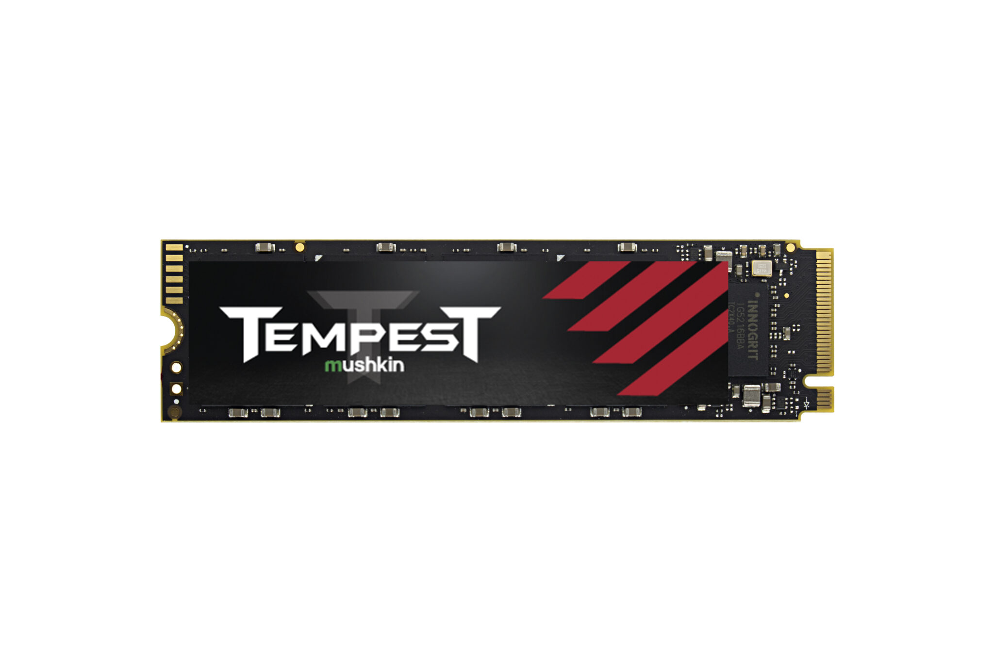 Tempest – 2TB | MKNSSDTS2TB-D8 – SSD & RAM Memory for Gaming and High ...